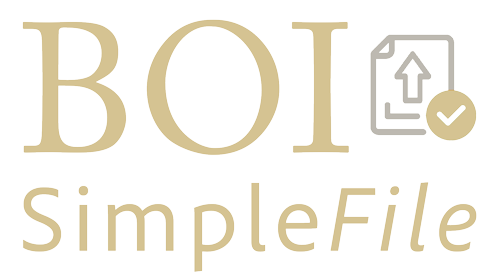 BOI Simple File